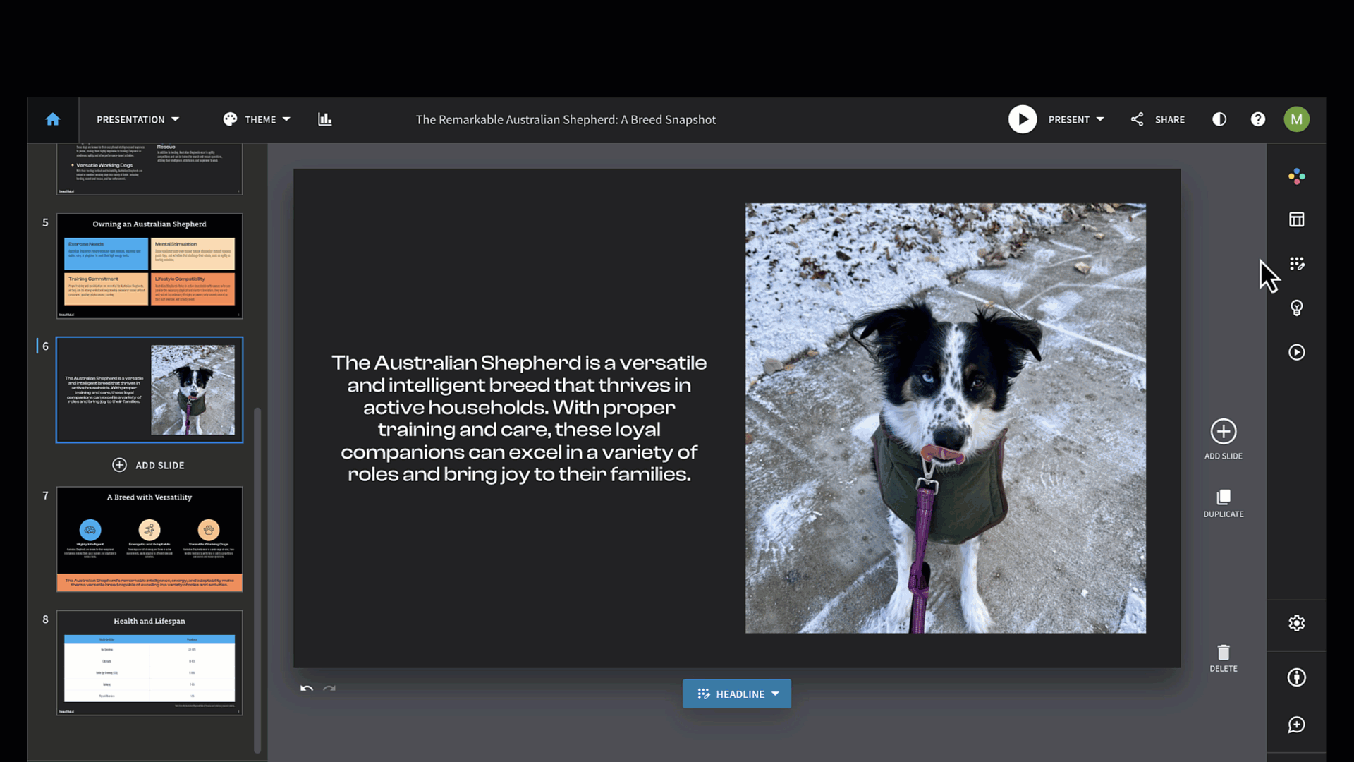Understanding and Using Callouts – Beautiful.ai