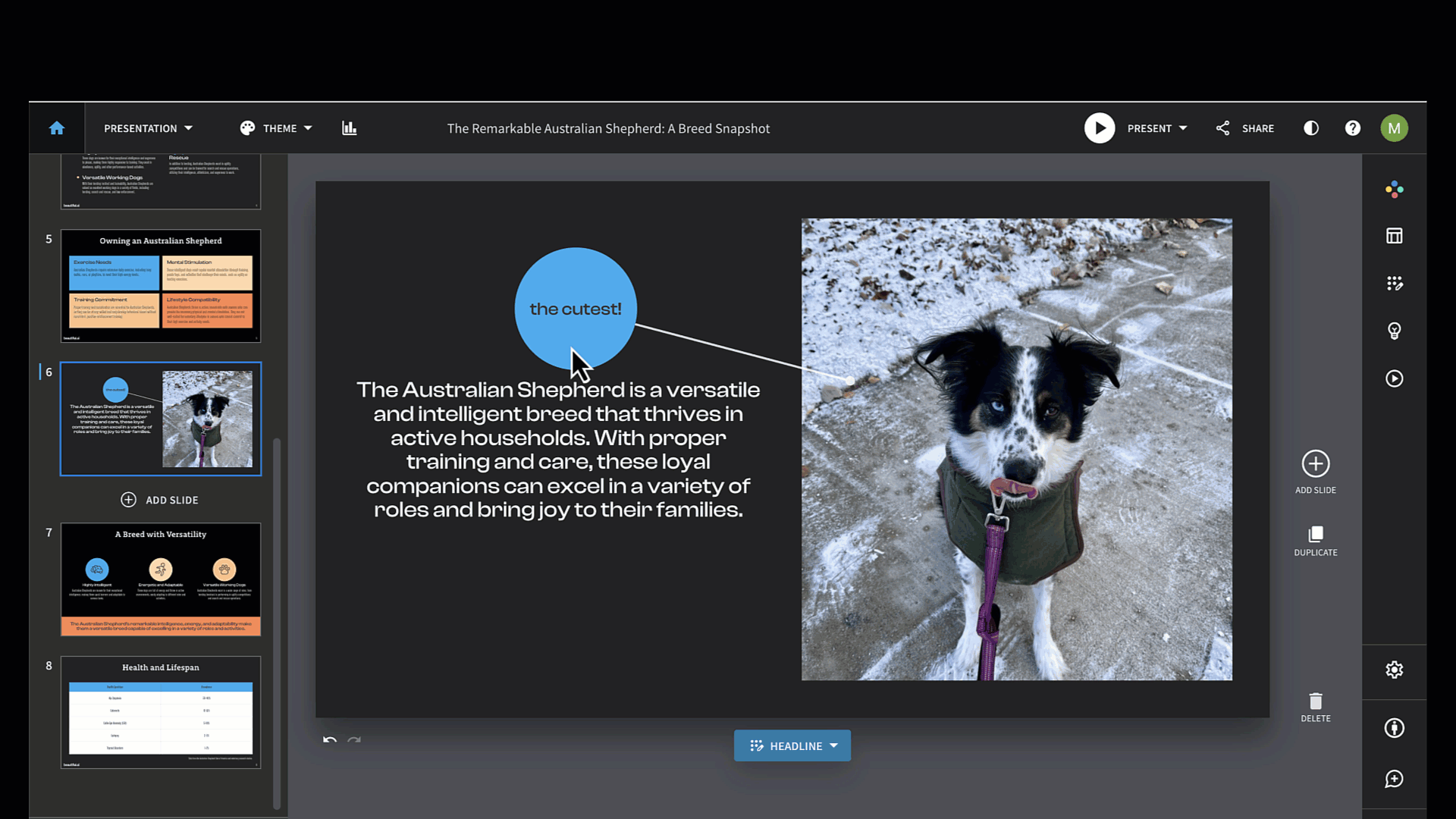 Understanding and Using Callouts – Beautiful.ai