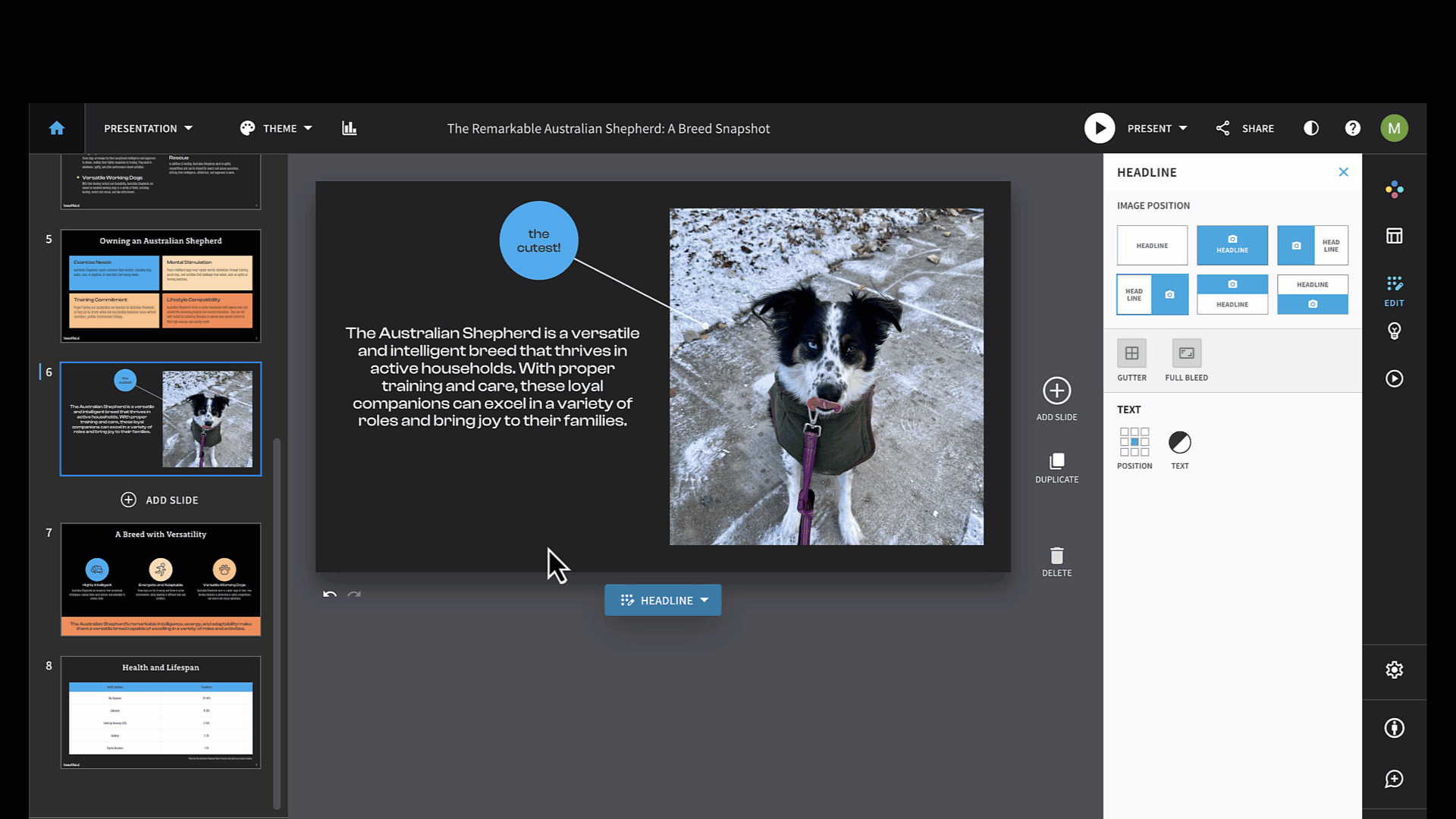 Understanding and Using Callouts – Beautiful.ai