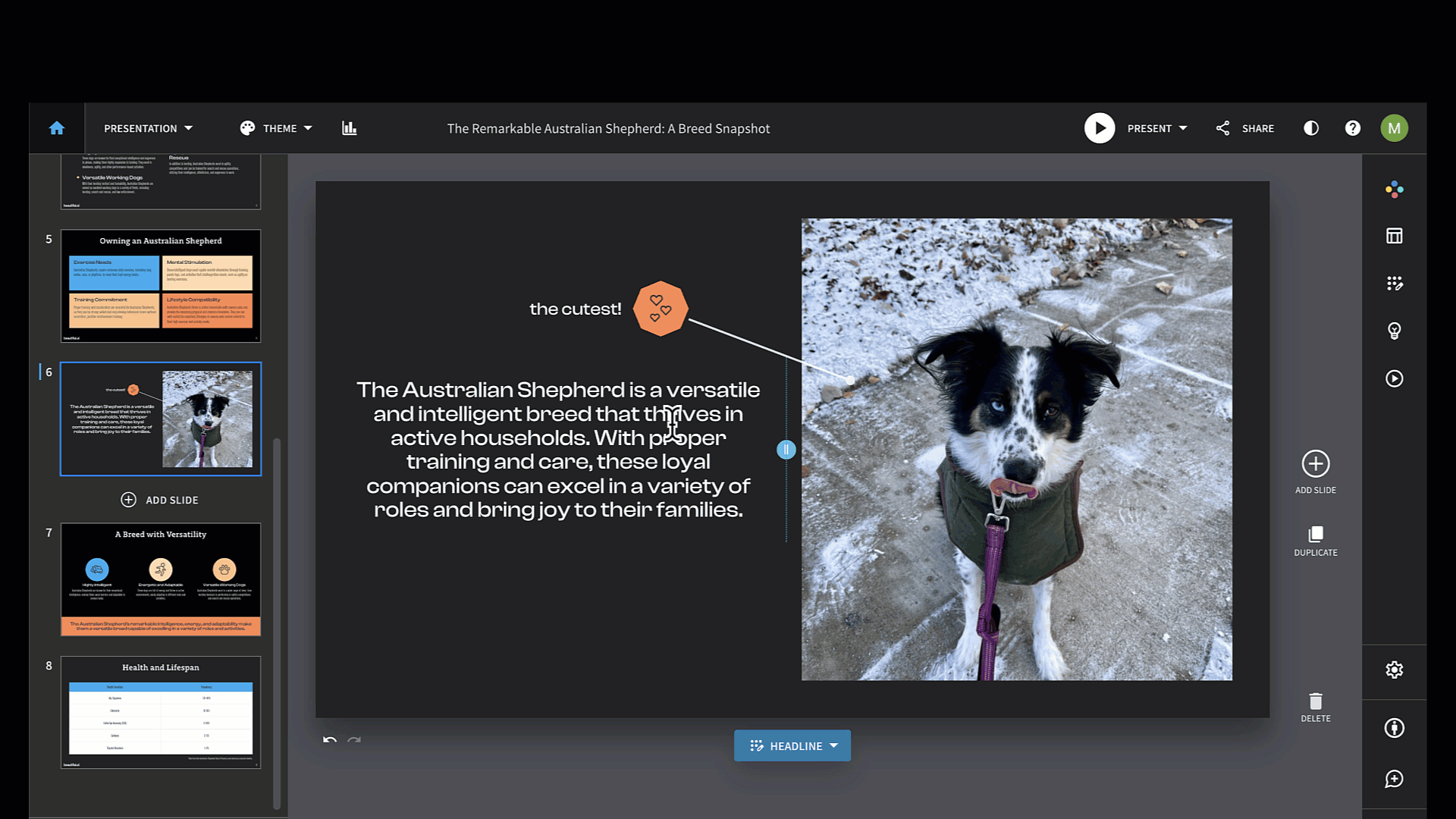 Understanding and Using Callouts – Beautiful.ai